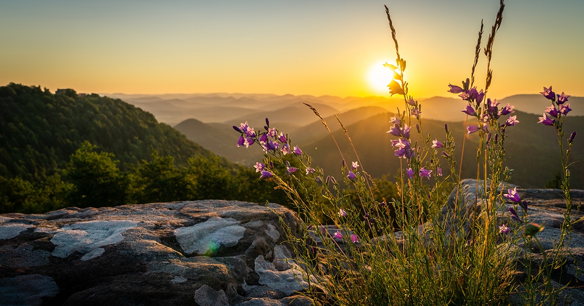 Portfolio - Nature and Landscape Photography - Nils Mora Photography